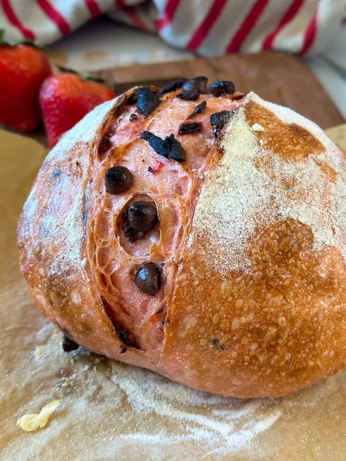 Chocolate Strawberry Sourdough Bread - Foragers of Happiness